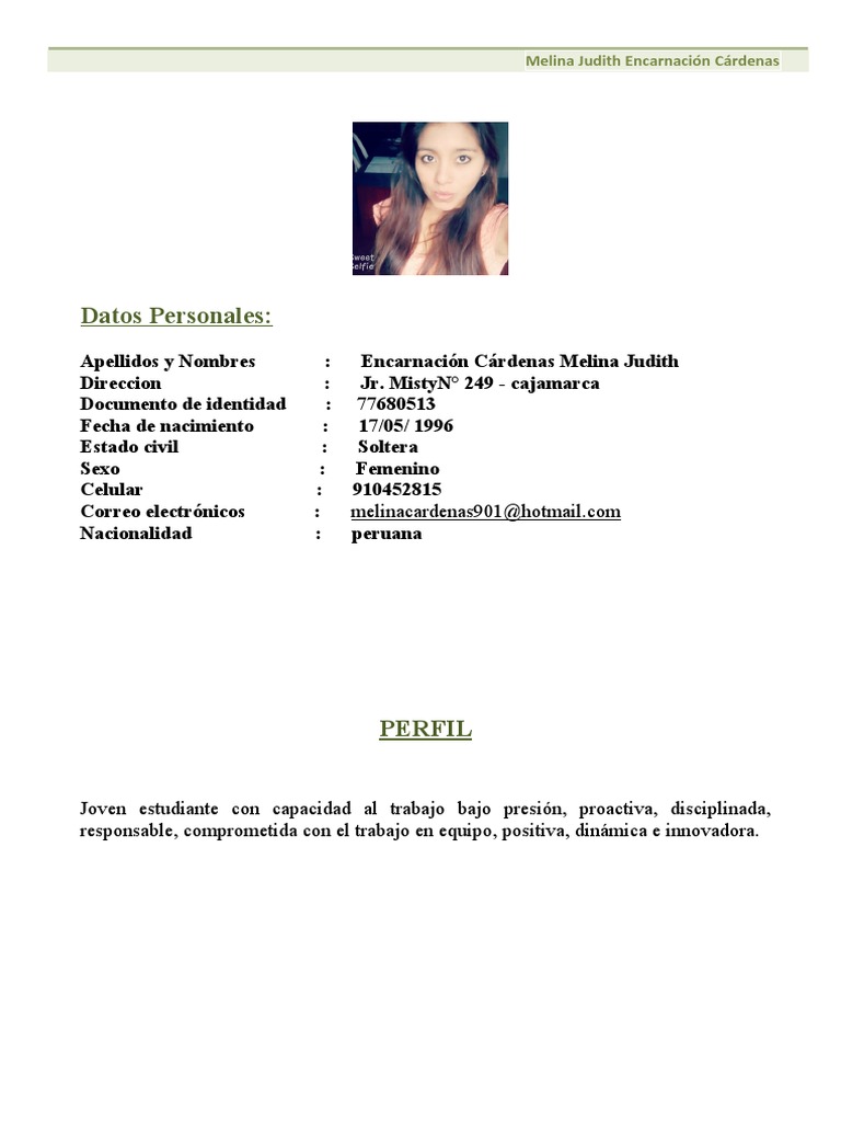 Curriculum Melinaaaaaaaaaaaaa Actuallll Melina | PDF | Business ...
