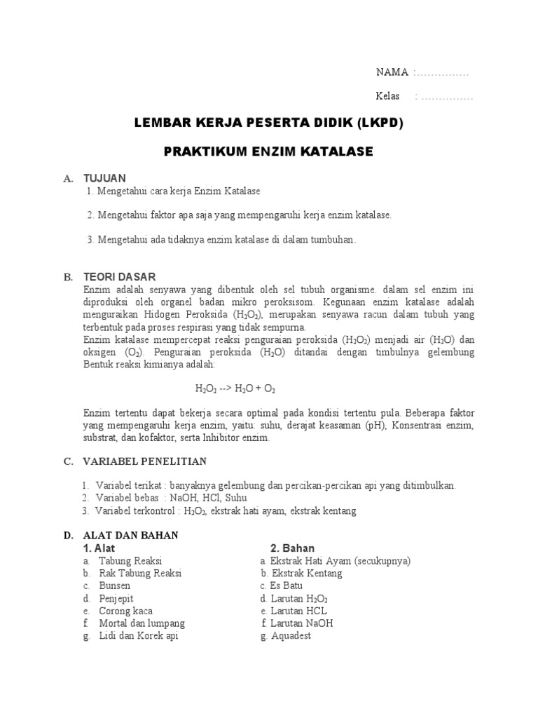 Lembar Kerja Peserta Didik Enzim Katalase | PDF | Sains & Matematika