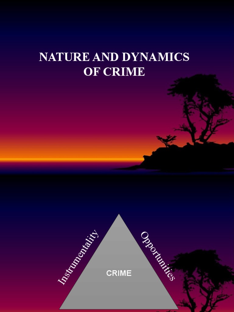 Anatomy of Crime | PDF