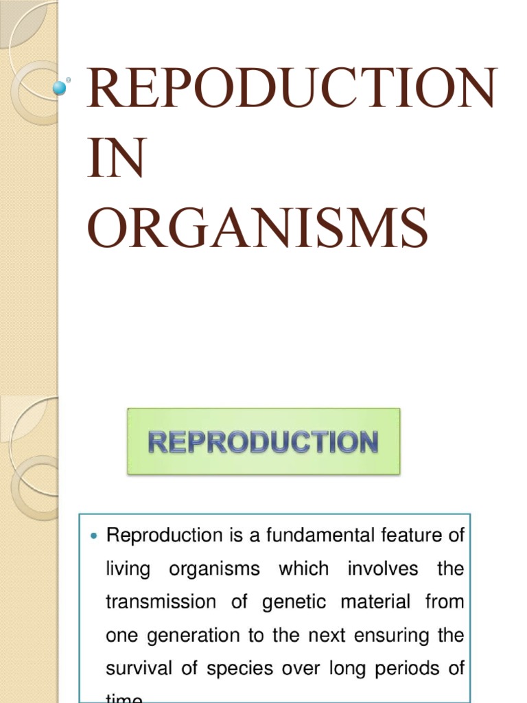 Class 10 - Reproduction | PDF | Reproduction | Sexual Reproduction