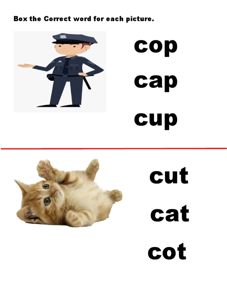 CVC Practice - Kendel | PDF