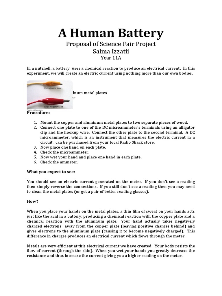 Proposal For Science Fair | PDF | Electric Current | Battery (Electricity)