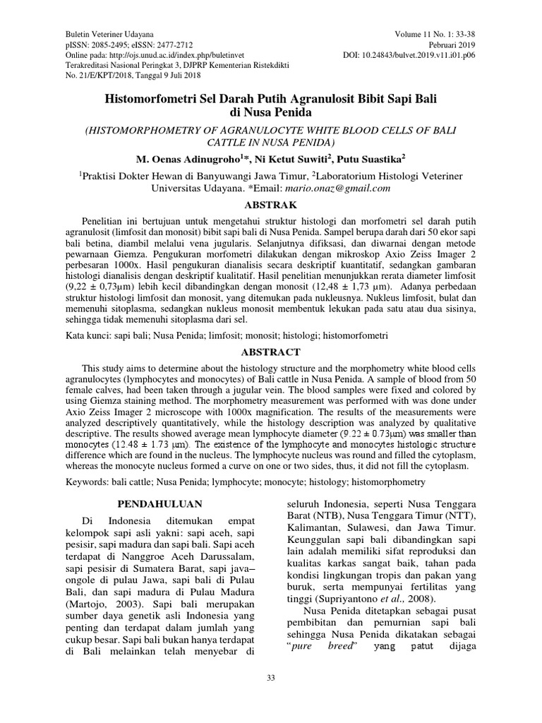 Histomorfometri Sel Darah Putih Agranulosit Bibit Sapi Bali Di Nusa ...