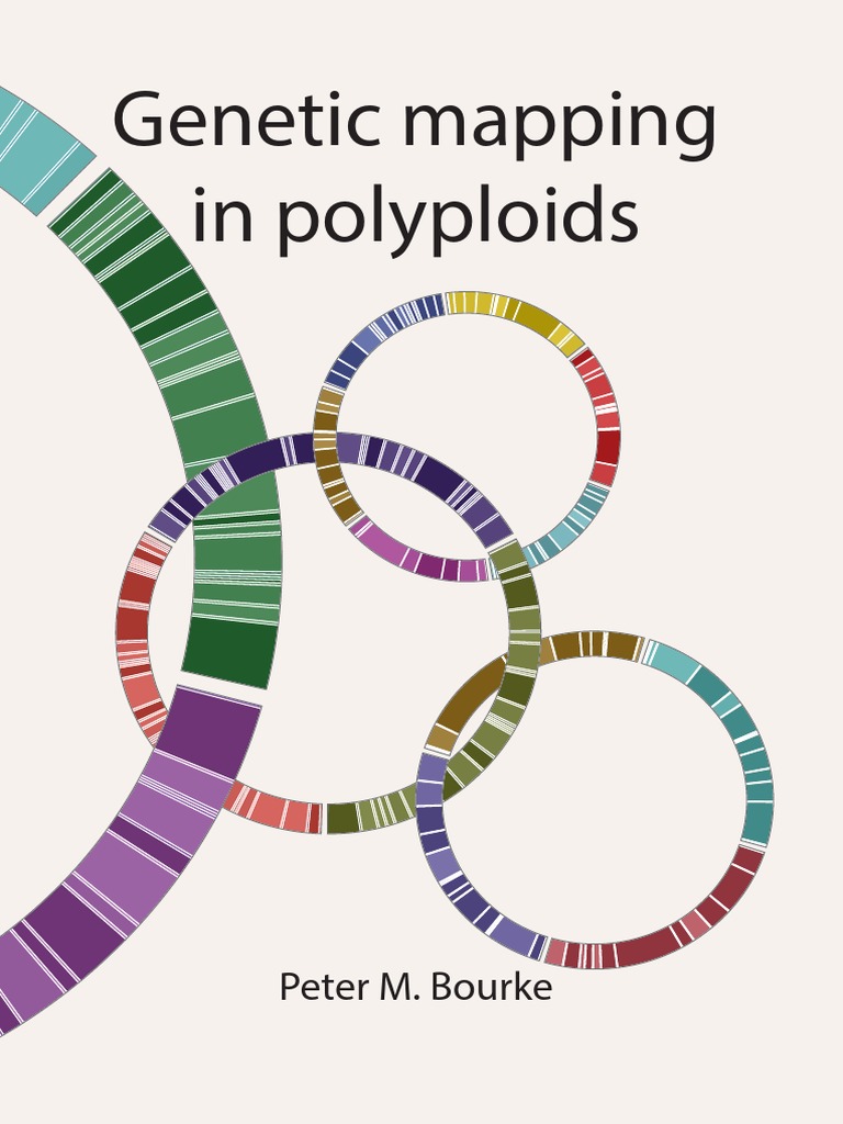 Genetic Mapping in Polyploids | PDF | Meiosis | Ploidy