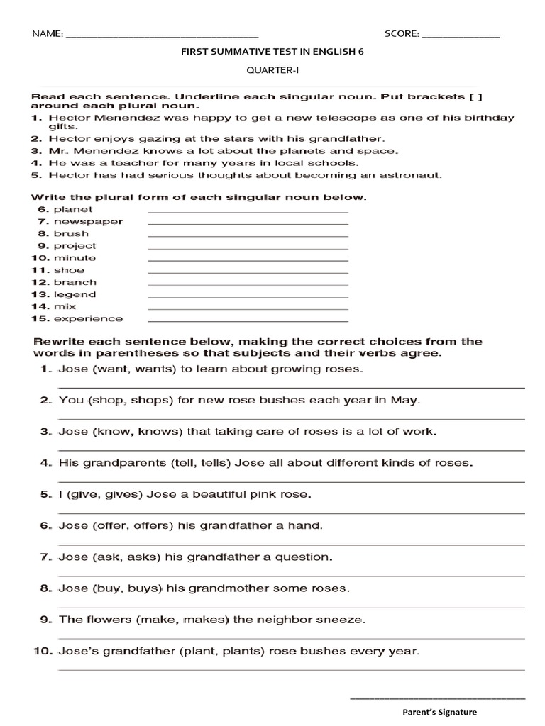 1ST Summative Test in English 6 Q1 | PDF