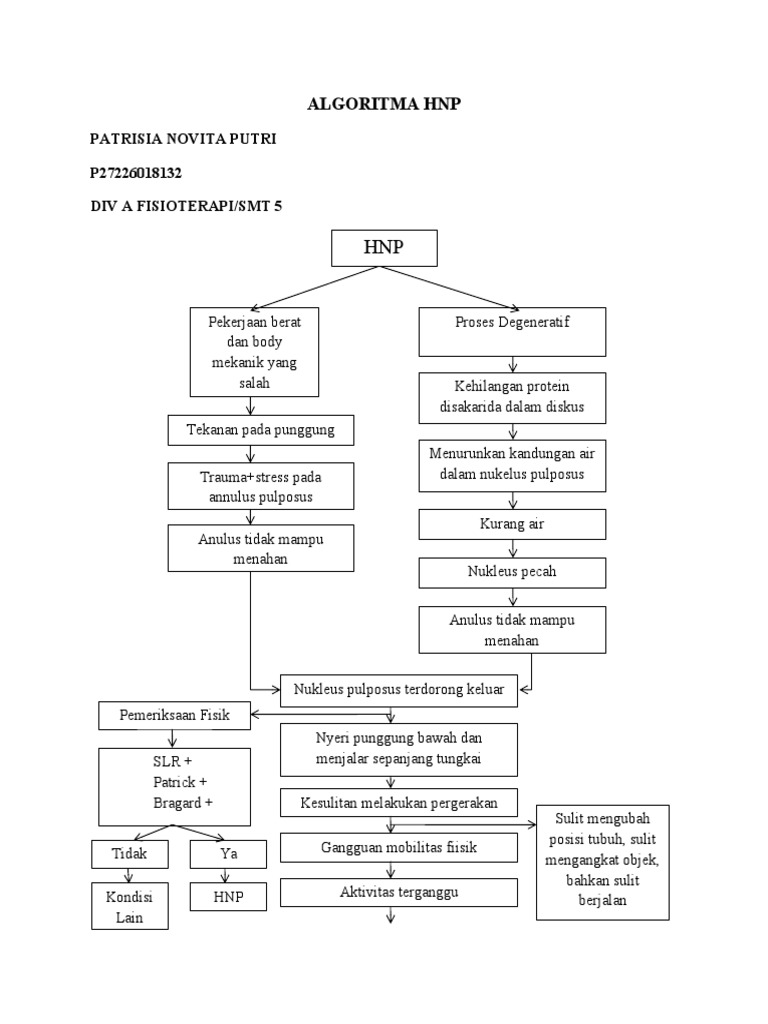 Algoritma Penanganan HNP | PDF