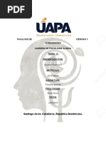 Pensum Licenciatura Psicología UAPA | PDF | Psicoterapia | Psicología ...
