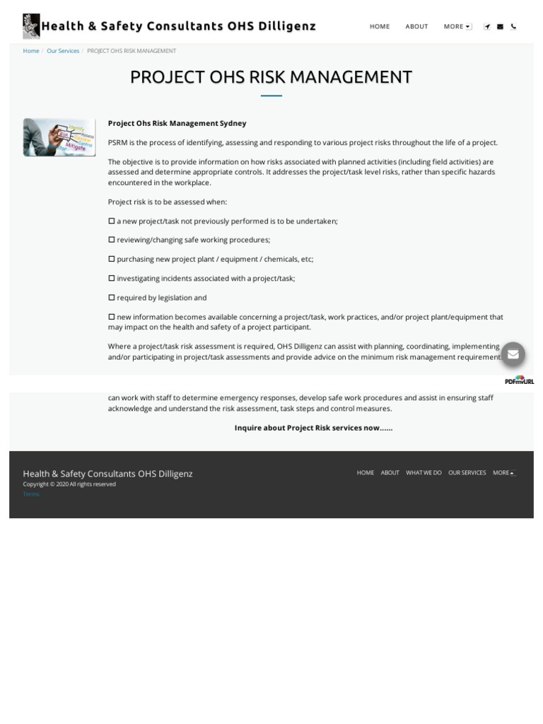WWW Ohsdilligenz Com Our Services Project Ohs Risk Management | PDF ...