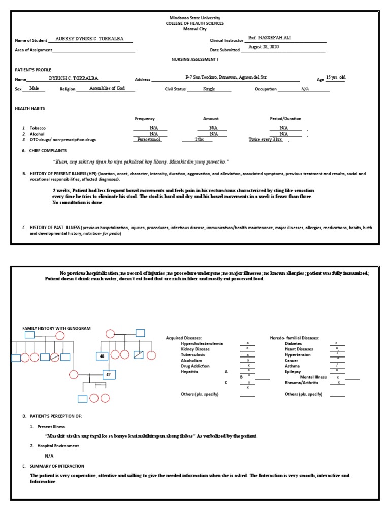 NSG ASSESSMENT TOOL TorralbaAubreyDyniseC.,sectionF | PDF ...