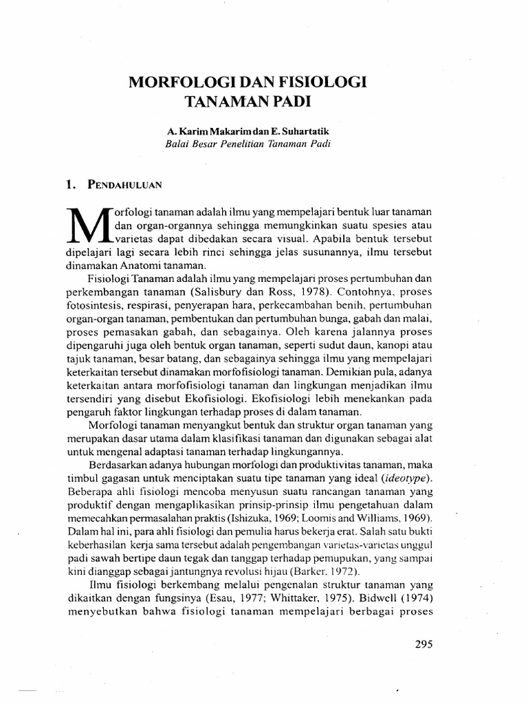 Morfologi Dan Fisiologi Tanaman Padi | PDF