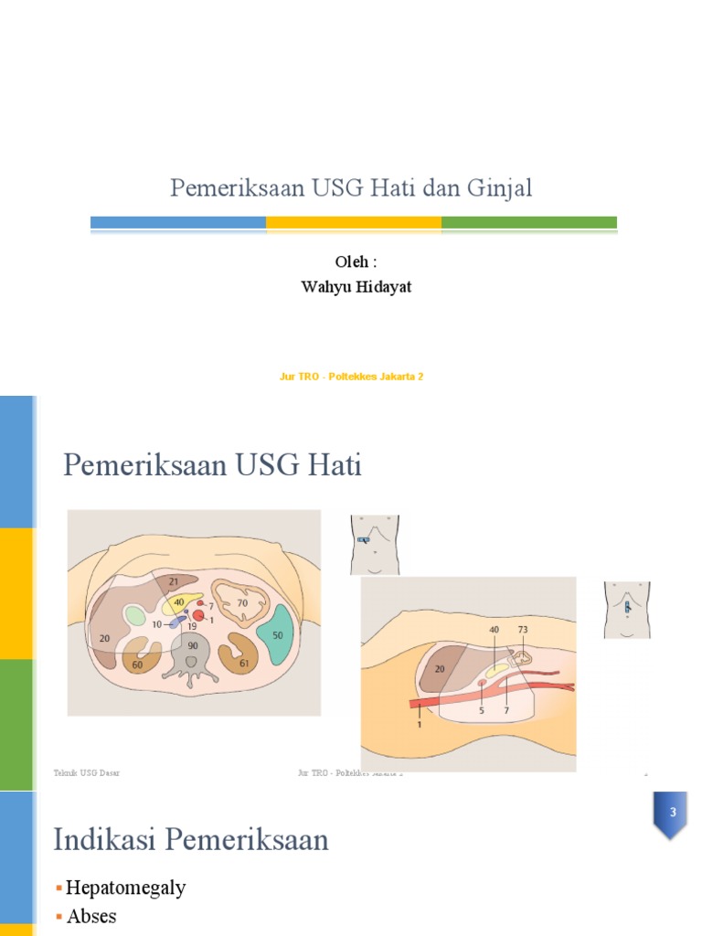Teknik Pemeriksaan USG Hati & Ginjal | PDF