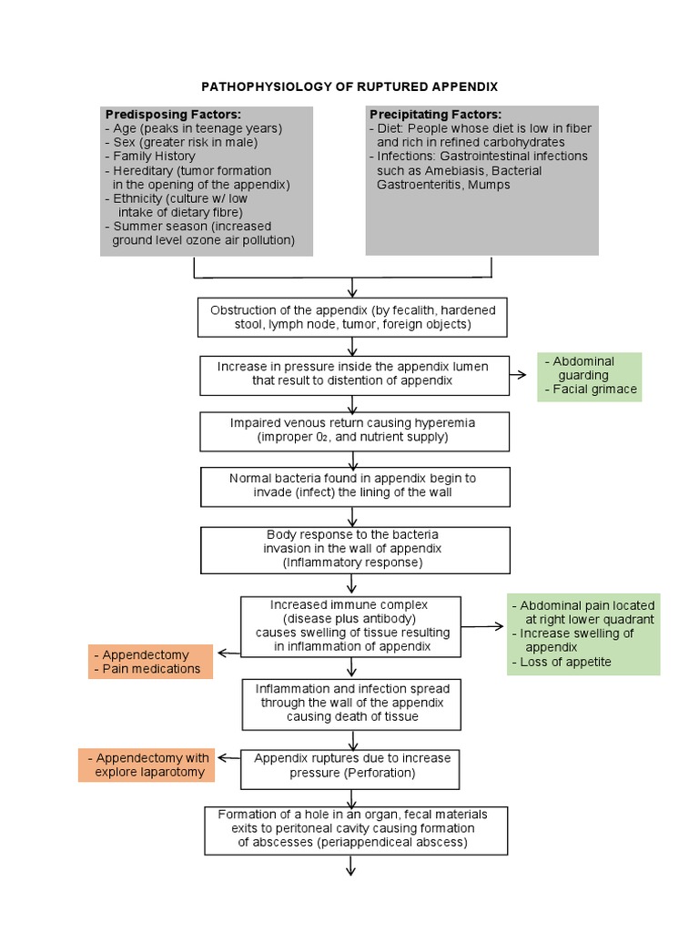 Pathophysiology of Ruptured Appendix | PDF | Sepsis | Surgery