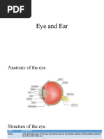 Fundus Drawing Techniques and Guidelines | PDF | Retina | Human Eye