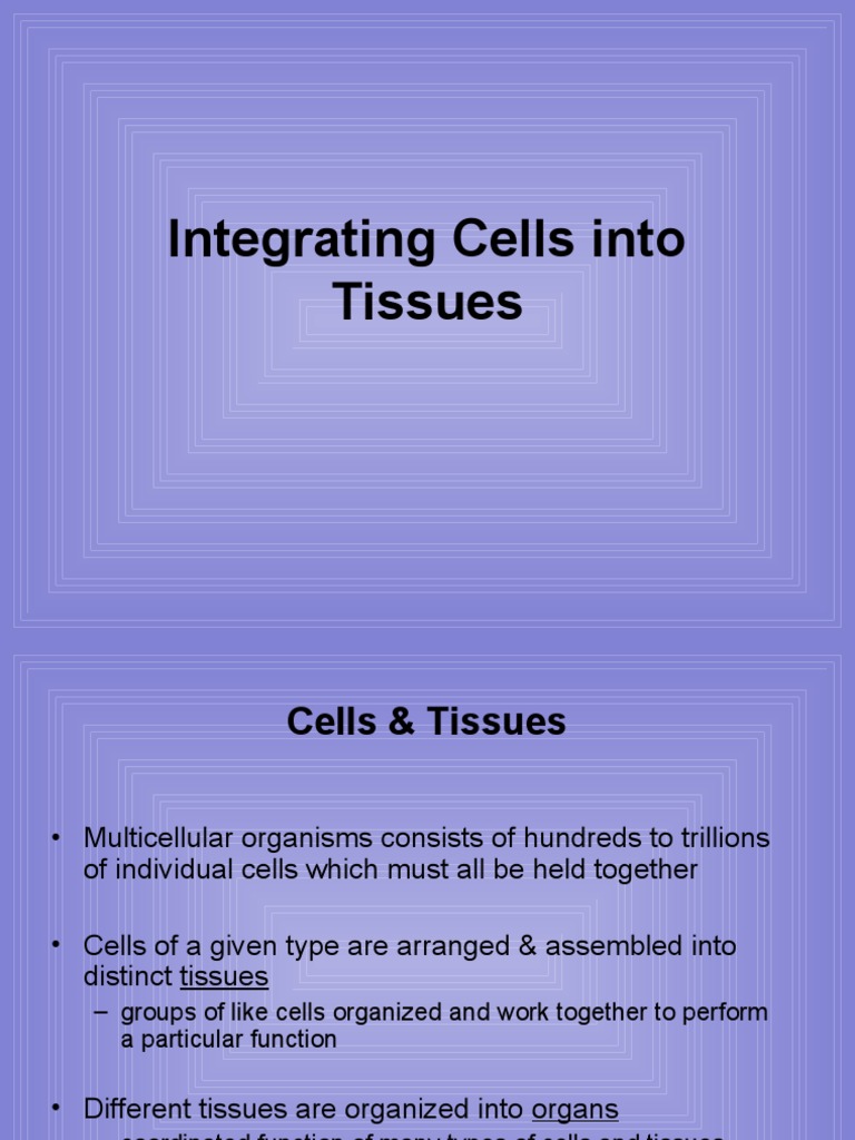 19) Integrating Cells Into Tissues | PDF | Cell Adhesion ...