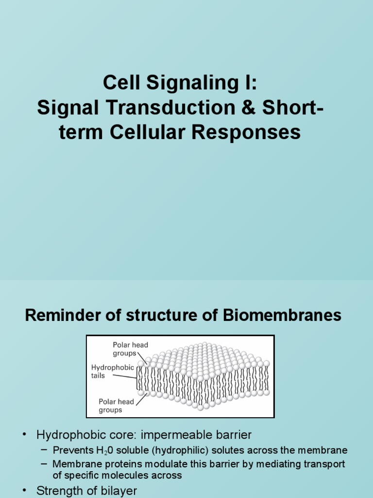 Cell Signaling: Transduction & Responses | PDF | Cell Signaling ...