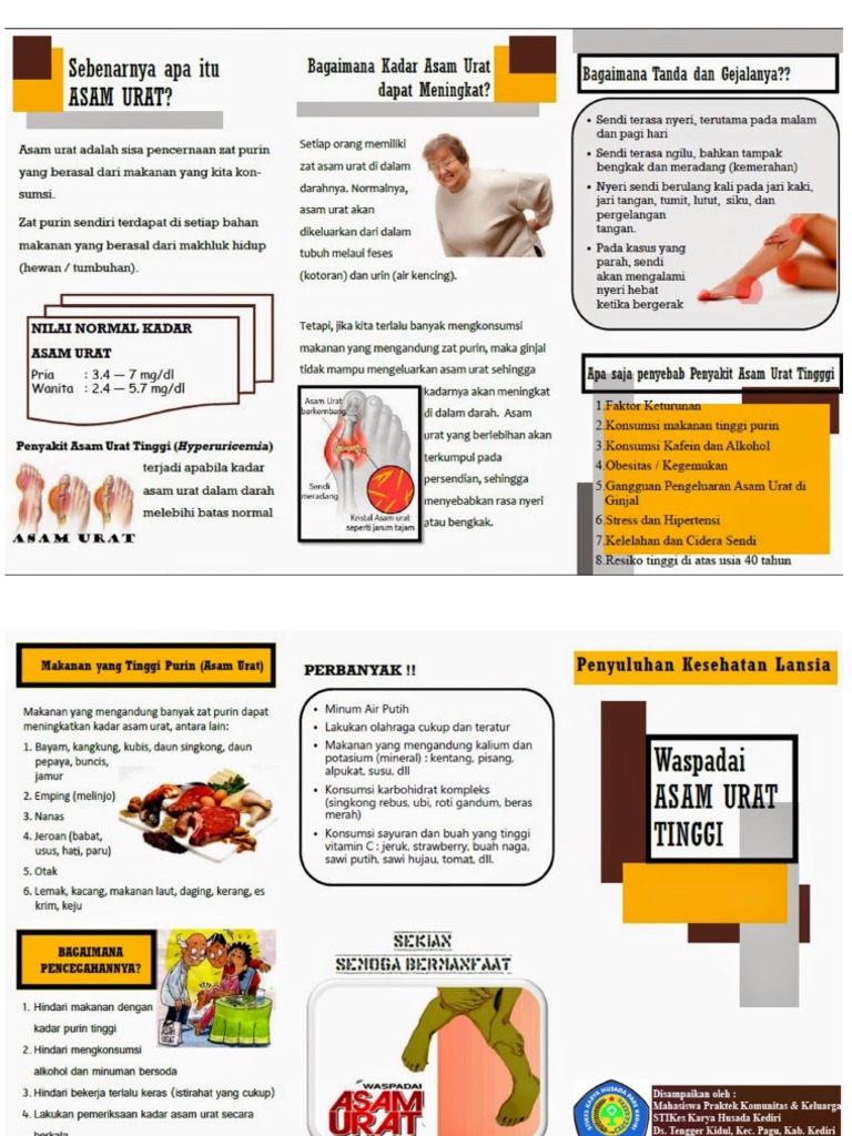 Leaflet Asam Urat | PDF
