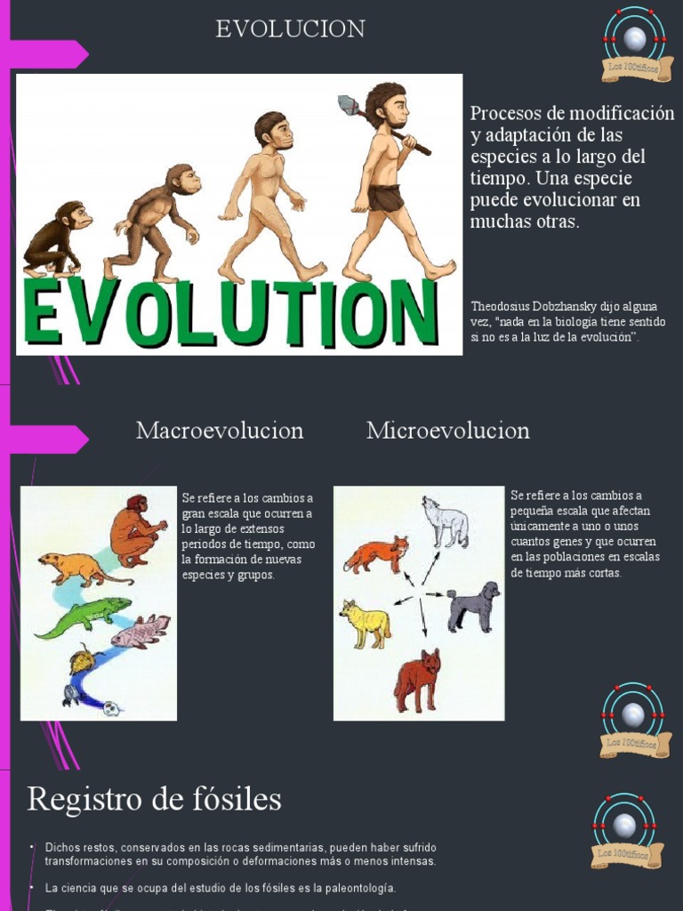 Concepto y Evidencias de La Evolución | PDF | Evolución | Biología ...