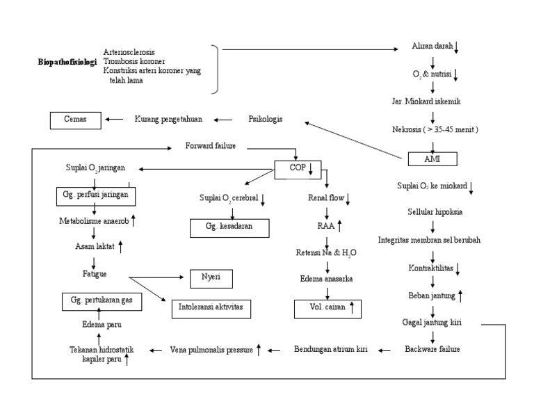 Pathway Acute Miocard Infark | PDF