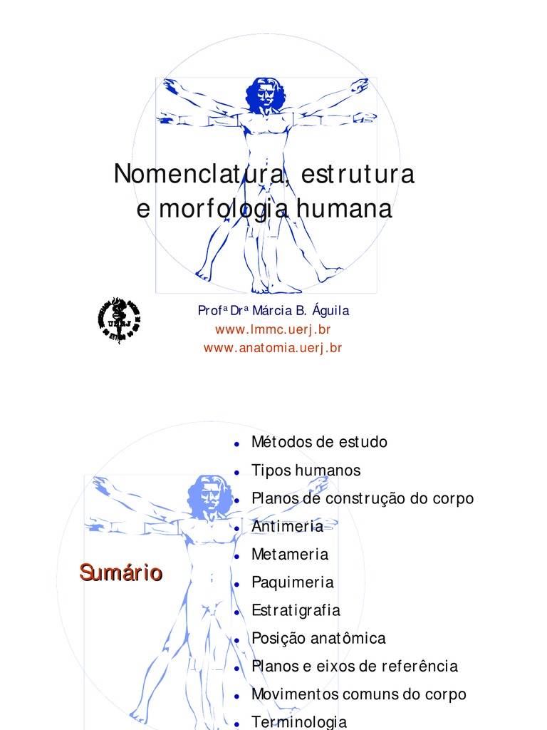 Planos e Eixos | PDF | Crânio | Anatomia