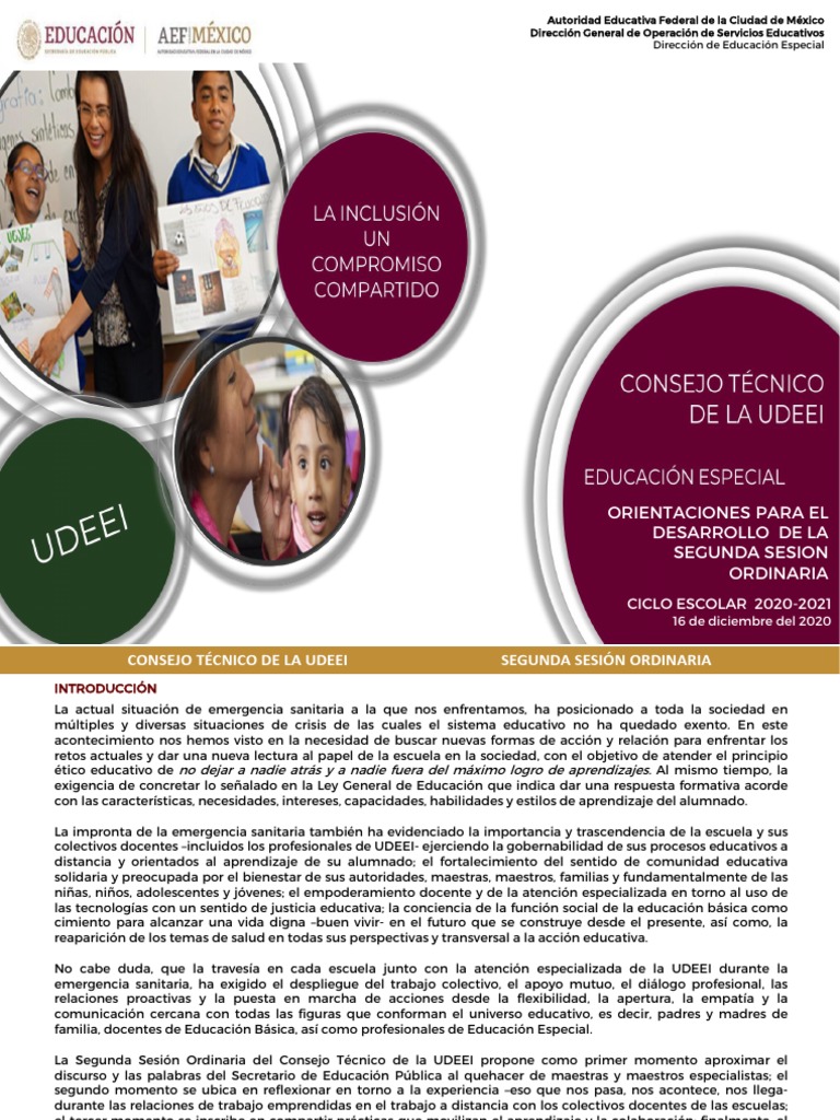 CT de La Udeei Segunda Sesión | PDF | Educación especial | Experiencia