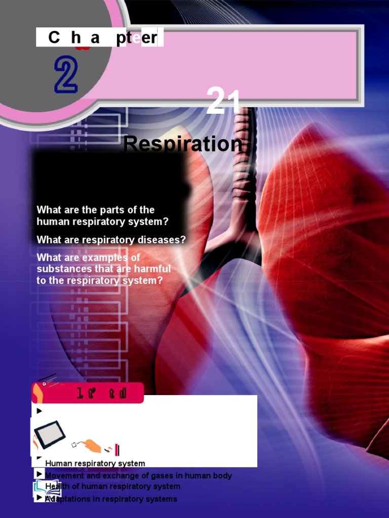 SN F3 Chapter 2 | PDF | Respiratory System | Breathing