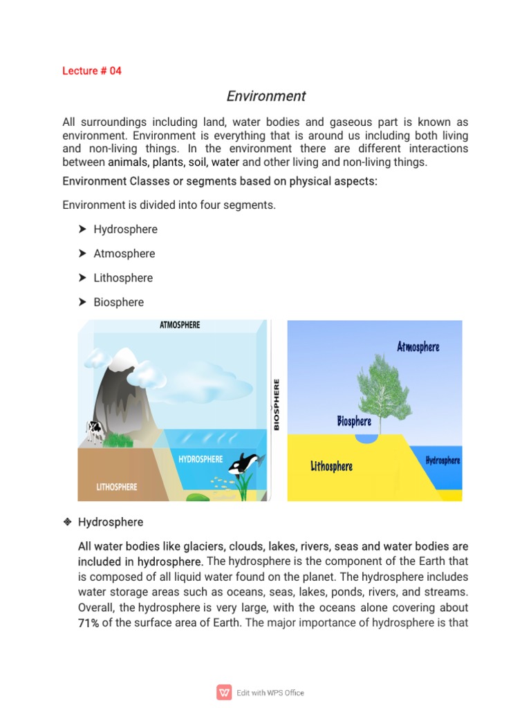 Four Segments of the Environment | PDF | Hydrology | Natural Environment