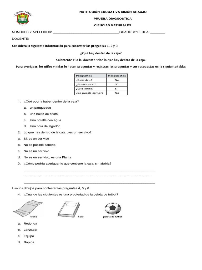 Prueba Diagnóstica Ciencias Naturales 3° | PDF | Hoja | Arboles
