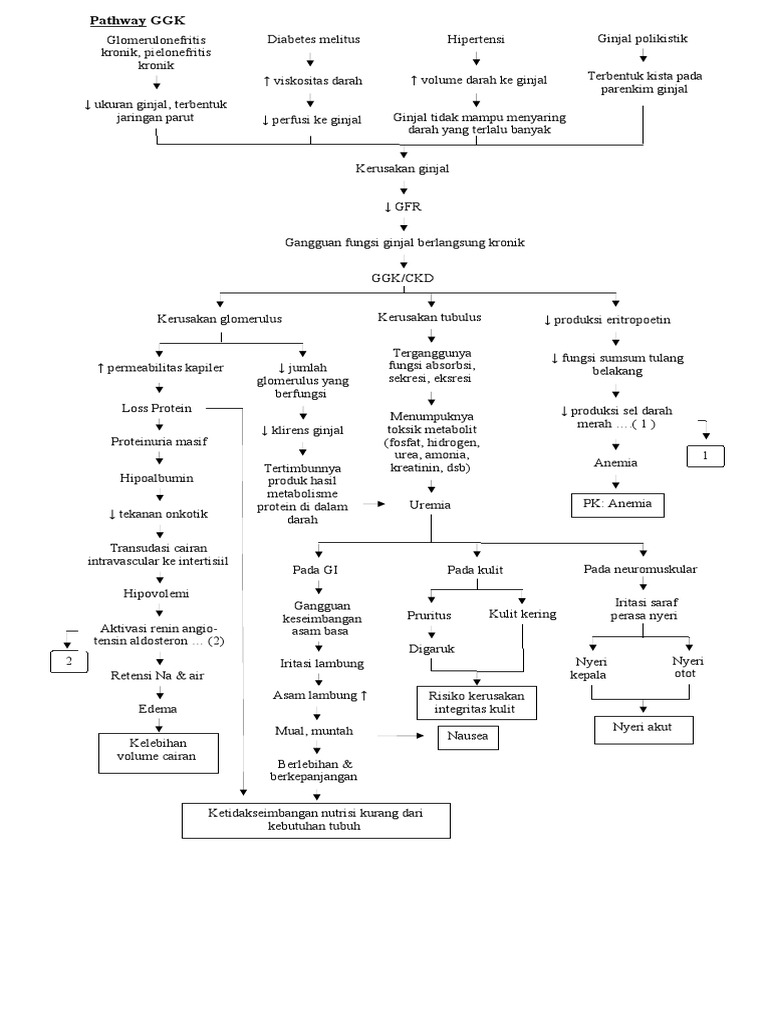 Pathway - GGK (Costan Lokunuha) | PDF