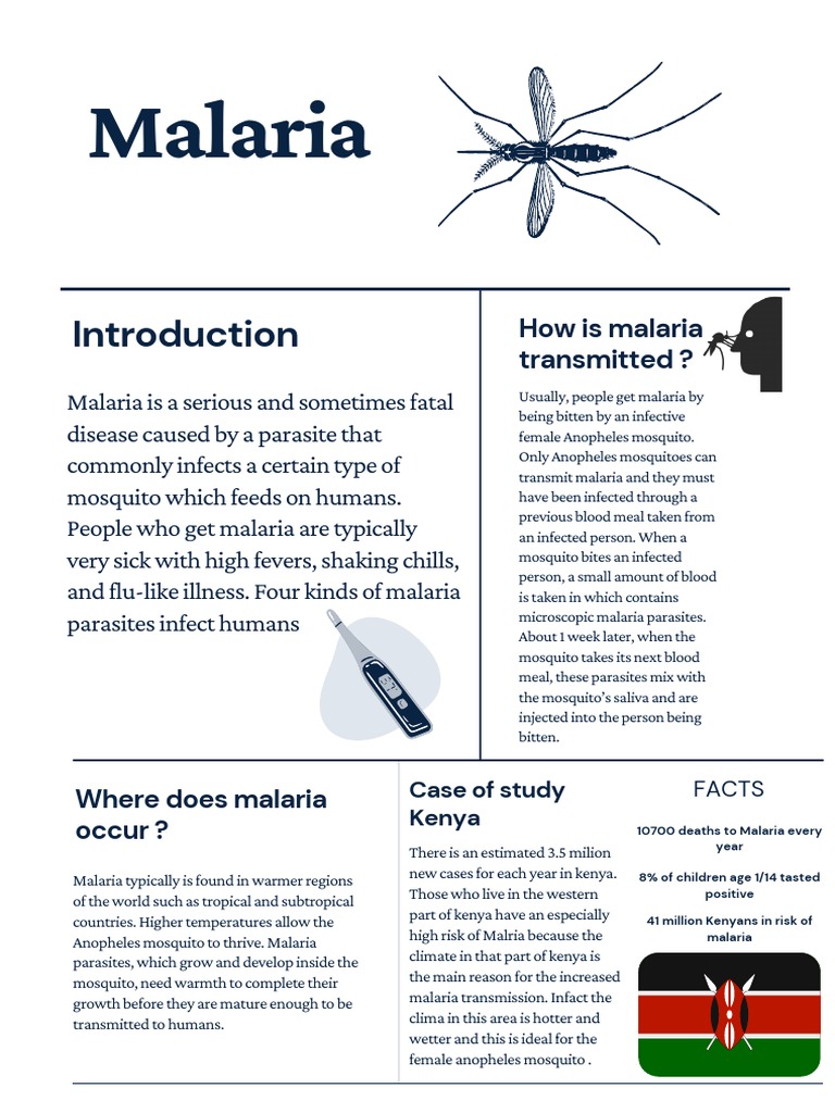 Malaria Poster | PDF | Malaria | Mosquito