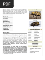 Insect Collection Labeling Guide | PDF | Typefaces | Insects