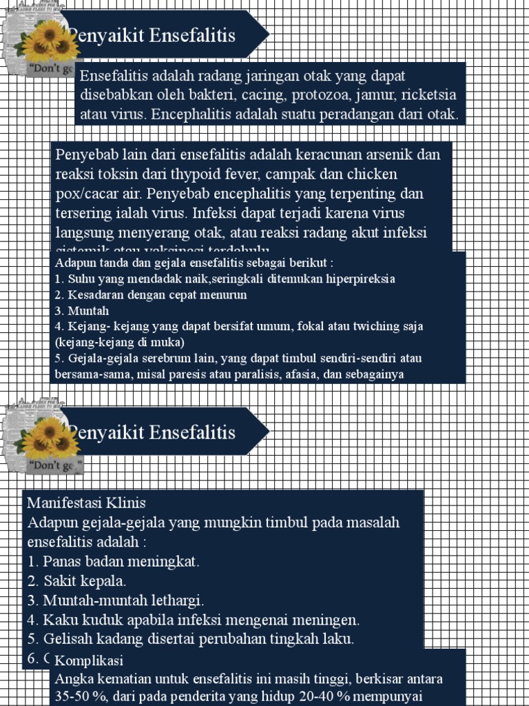 Penyakit Ensefalitis: Gejala dan Penanganan | PDF | Kesehatan Holistik