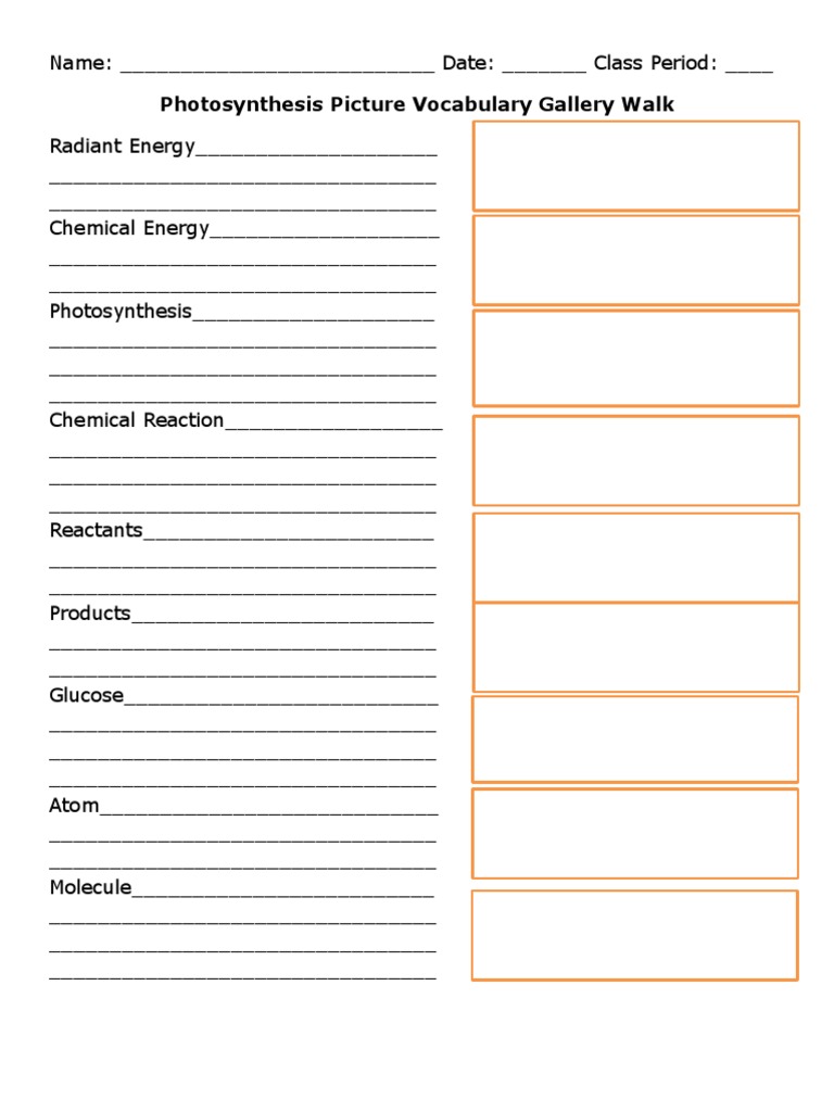 Gallery Walk Vocab Sheet | PDF | Science & Mathematics