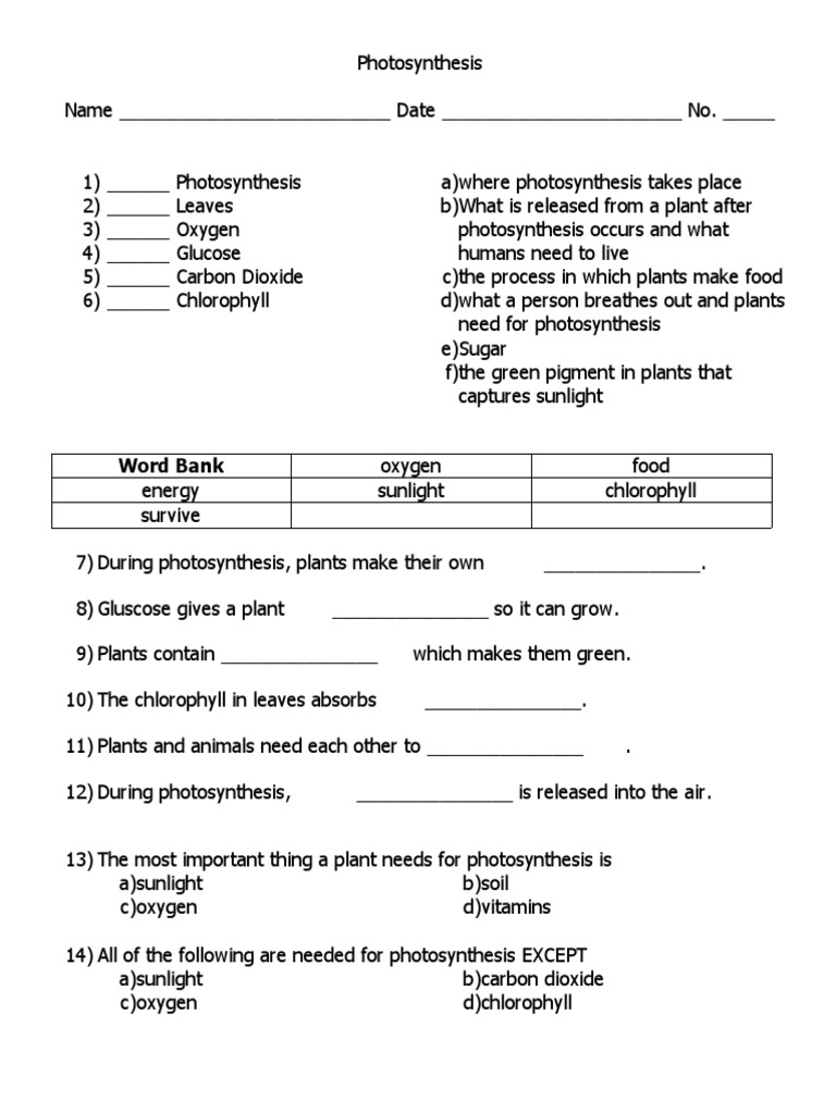 Photosynthesis Quiz | PDF | Photosynthesis | Chlorophyll