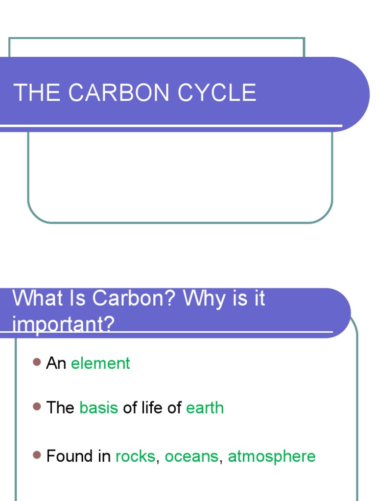 Carbon Cycle PowerPoint | Download Free PDF | Carbon Cycle | Carbon