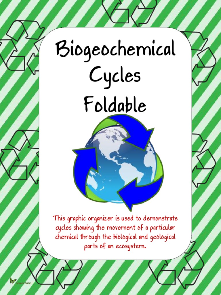 Bio Geo Chemical Cycles Foldable 1 | PDF | Carbon Dioxide | Water Cycle