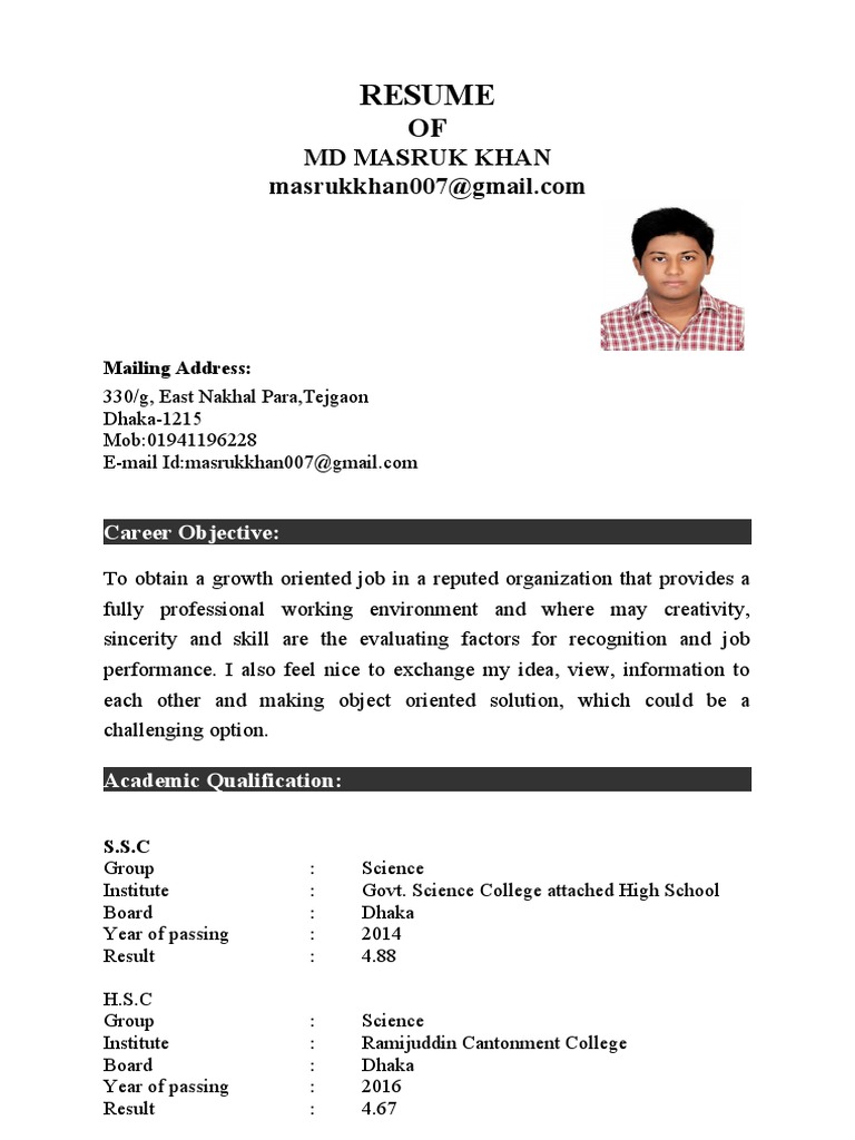 CV Template Classic | PDF