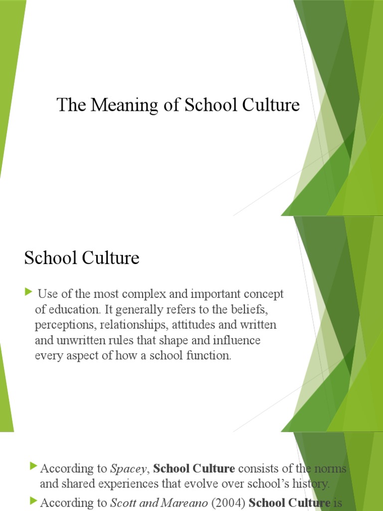 The Meaning of School Culture | PDF