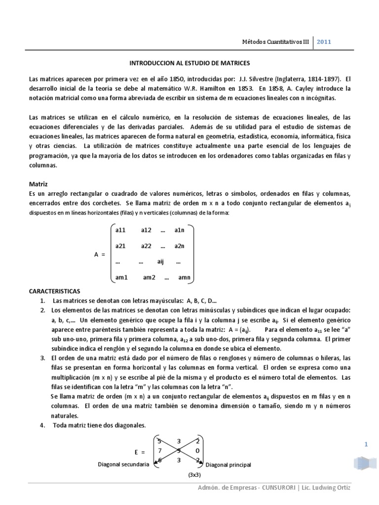 Introducción A Matrices | PDF | Matriz (Matemáticas) | Ecuaciones
