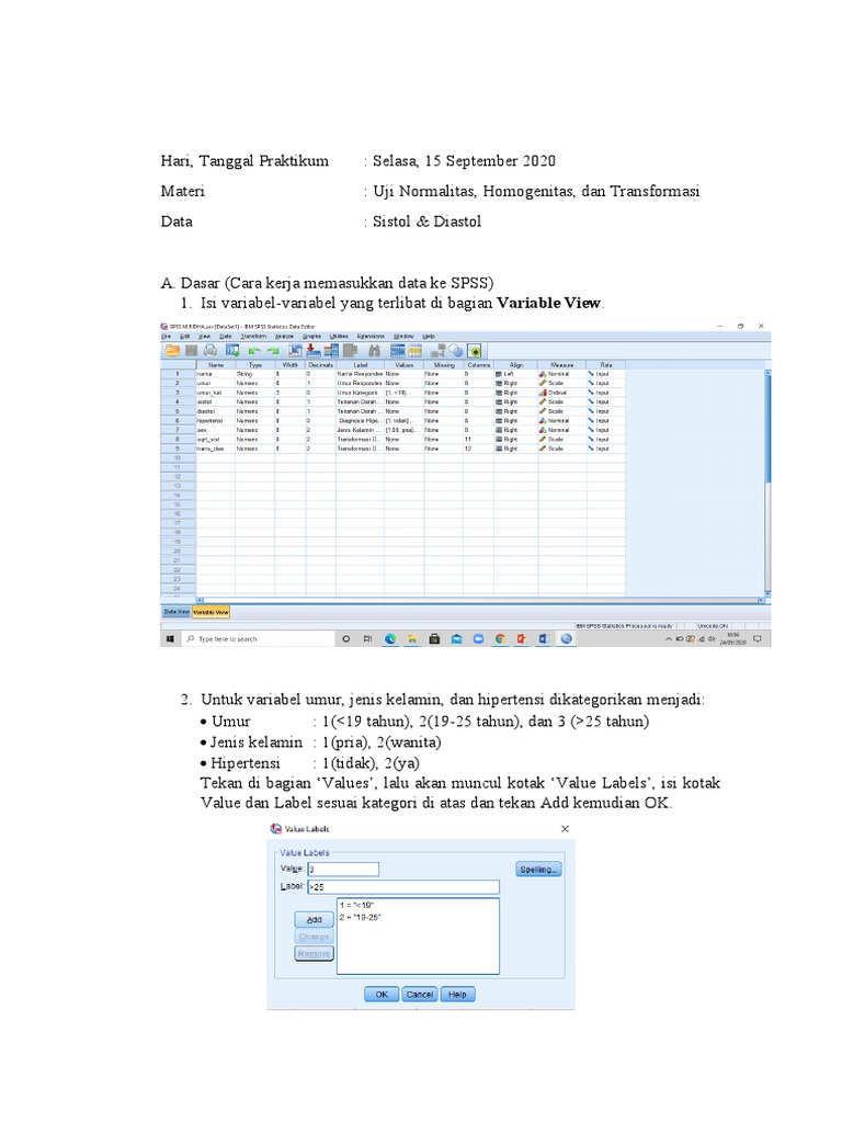 Tutorial SPSS | PDF