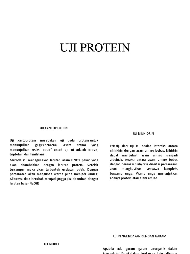 Uji Protein | PDF