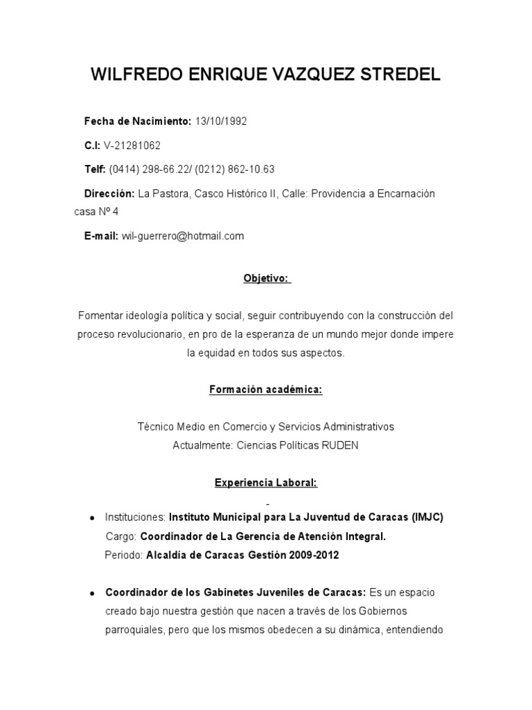 Wilfredo Stredel Curriculum | PDF | Microsoft Office | Business