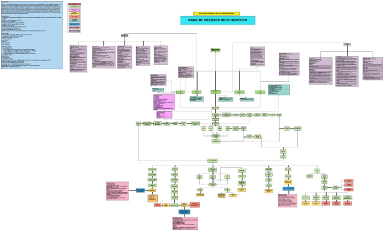 Concept Map On Hepatitis | PDF