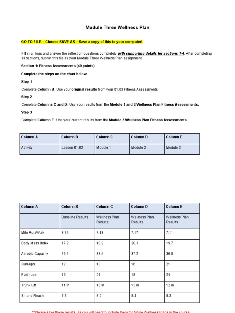 Module 3 Wellness Plan COMPLETE | PDF | Physical Fitness | Physical ...