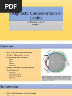 Fundus Drawing Techniques and Guidelines | PDF | Retina | Human Eye