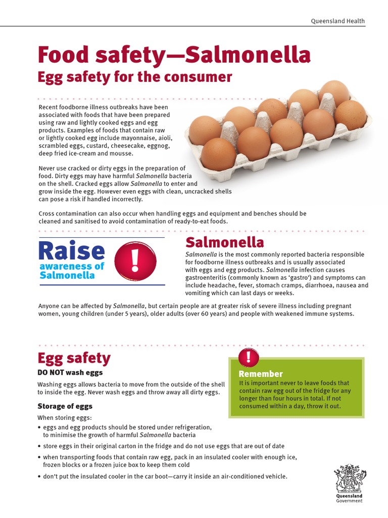 Food Safety-Salmonella: Raise | PDF | Egg As Food | Foodborne Illness