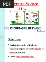 Daintree Rainforest Food Web Overview | PDF
