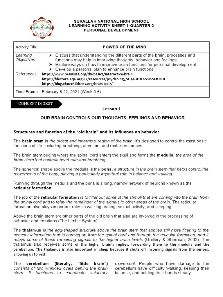 Brain Basics for High Schoolers | PDF | Brain | Parietal Lobe