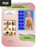 LKPD Sistem Pencernaan Manusia | PDF | Kesehatan Holistik