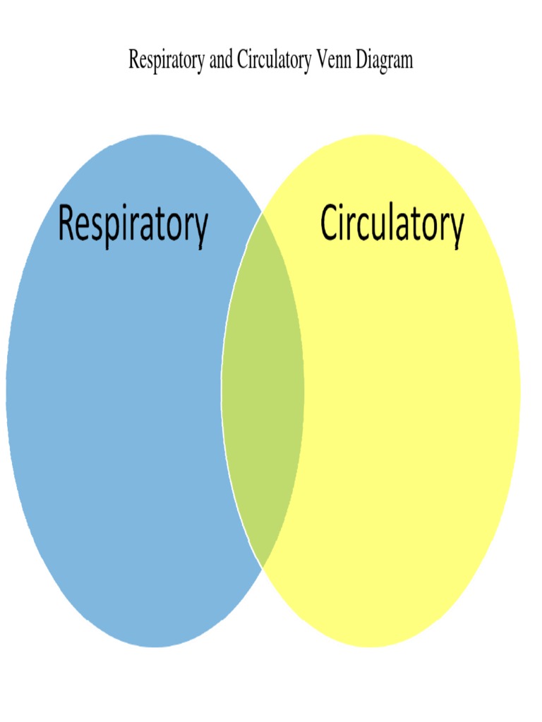 Respiratory and Circulatory Venn Diagram | PDF