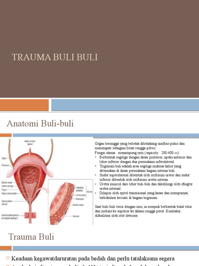 Trauma dan Penanganan Buli-Buli | PDF